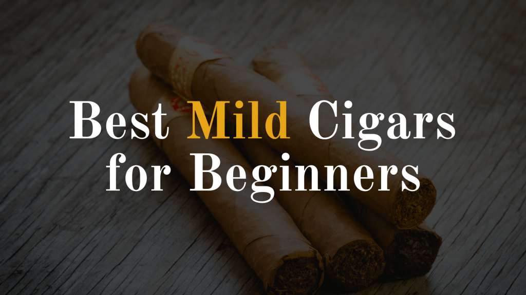 The Best Mild Cigars for Beginners: Top 11 Choices