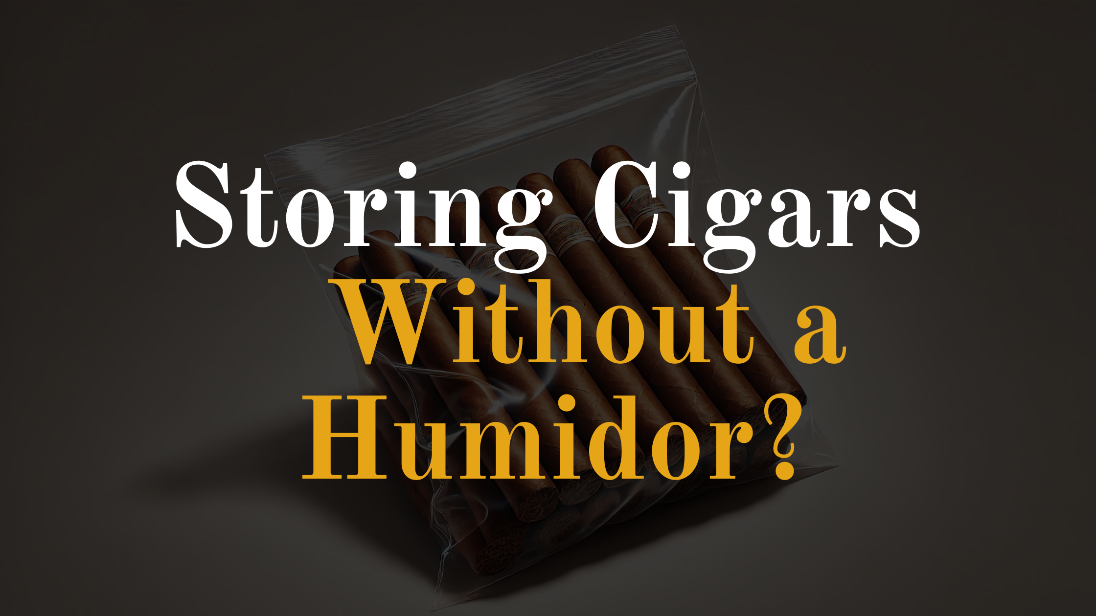 How to Store Cigars Without a Humidor (DIY Tips)